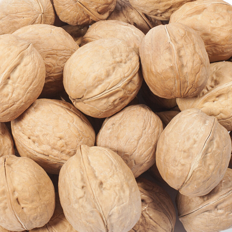 Walnut inshell – Nuts & Dried Fruits Supplier | MISOCIO NUTS